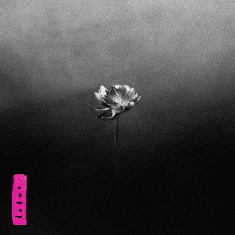 Fopp's picks - Fopp - the best music, films & books at low prices ...